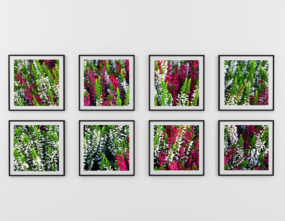 AI Image Search Techniques You Should Know | How to Reverse Image ...